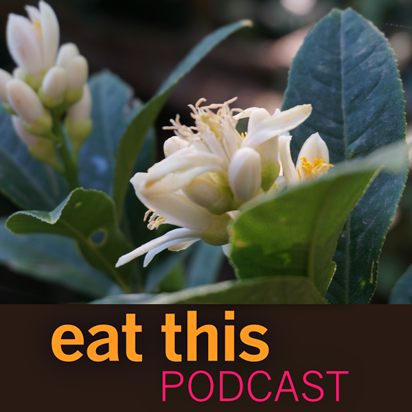 citrus cover | Eat This Podcast